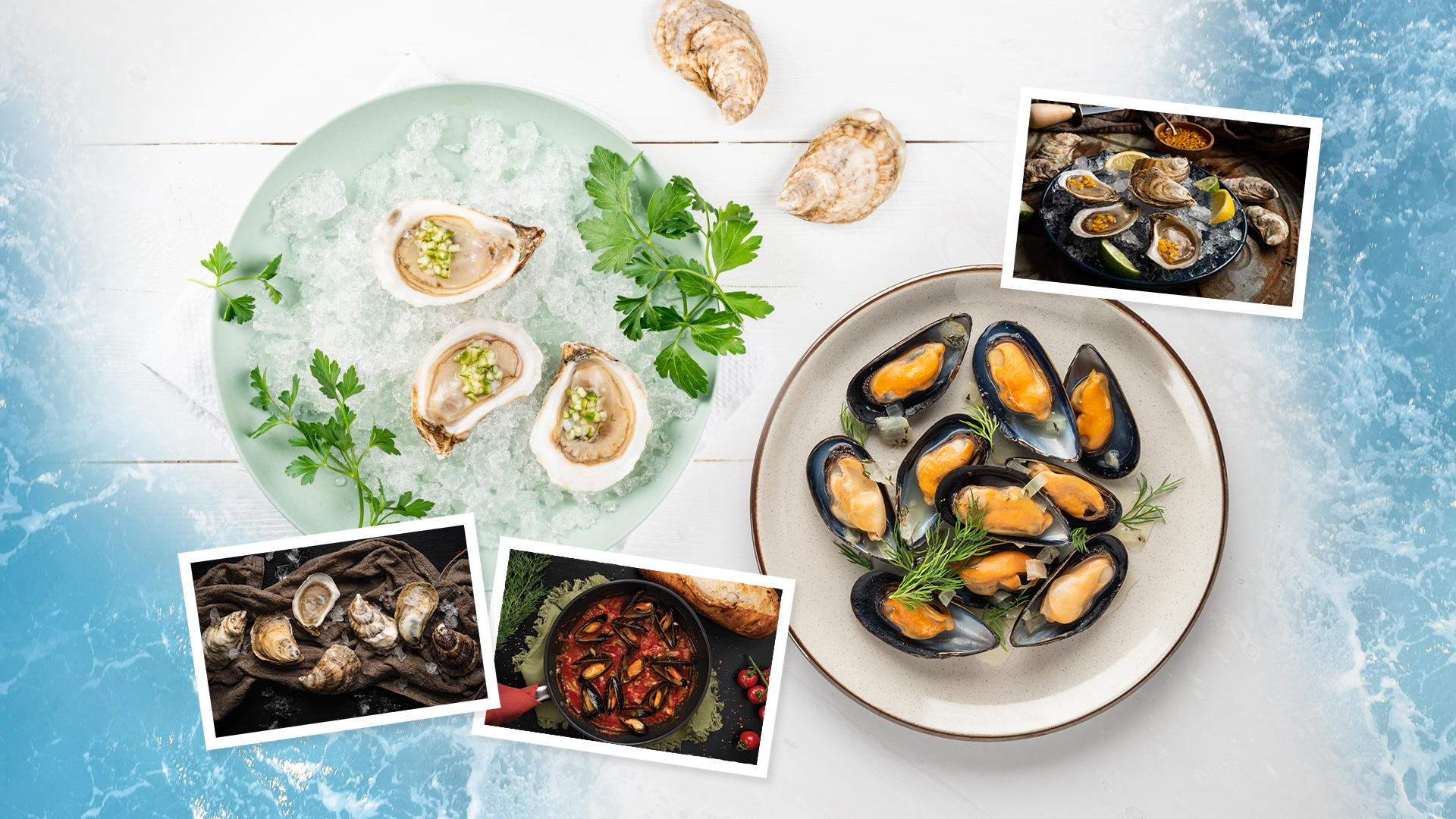Home – Newfoundland Mussels & Oysters - NEWFOUNDLAND