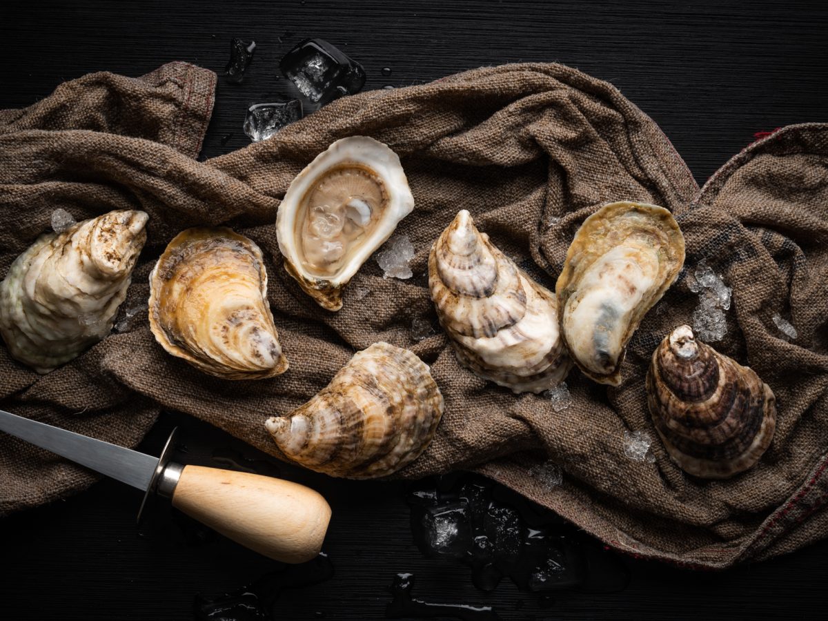 Home – Newfoundland Mussels & Oysters - NEWFOUNDLAND